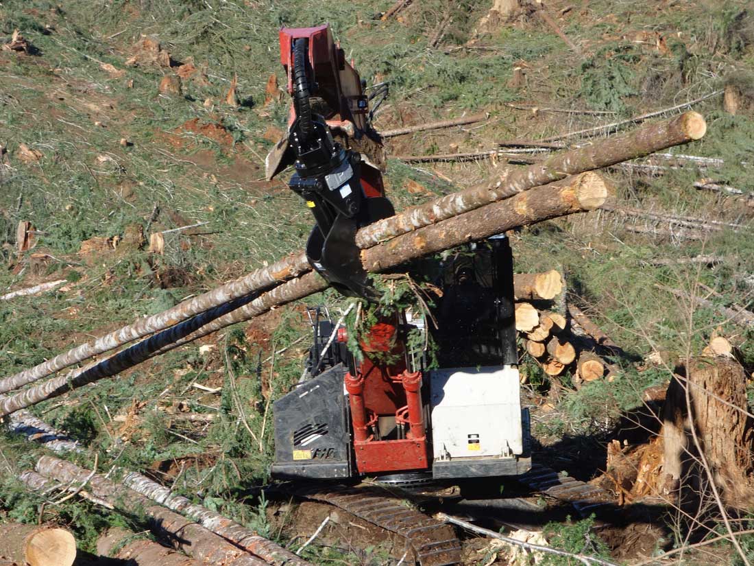 Forestry Grapples – Pierce Pacific Manufacturing